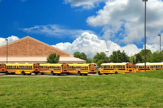 Non-Verbal Bus Driver KILLS Five – Who Let Him Drive? | Our Nation News